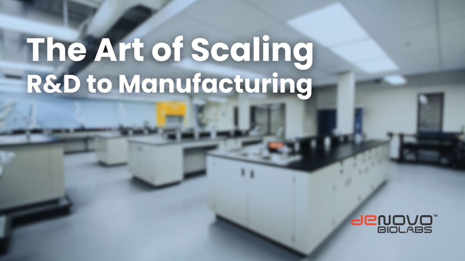 How to Scale Up from R&D to Manufacturing? - deNOVO Biolabs