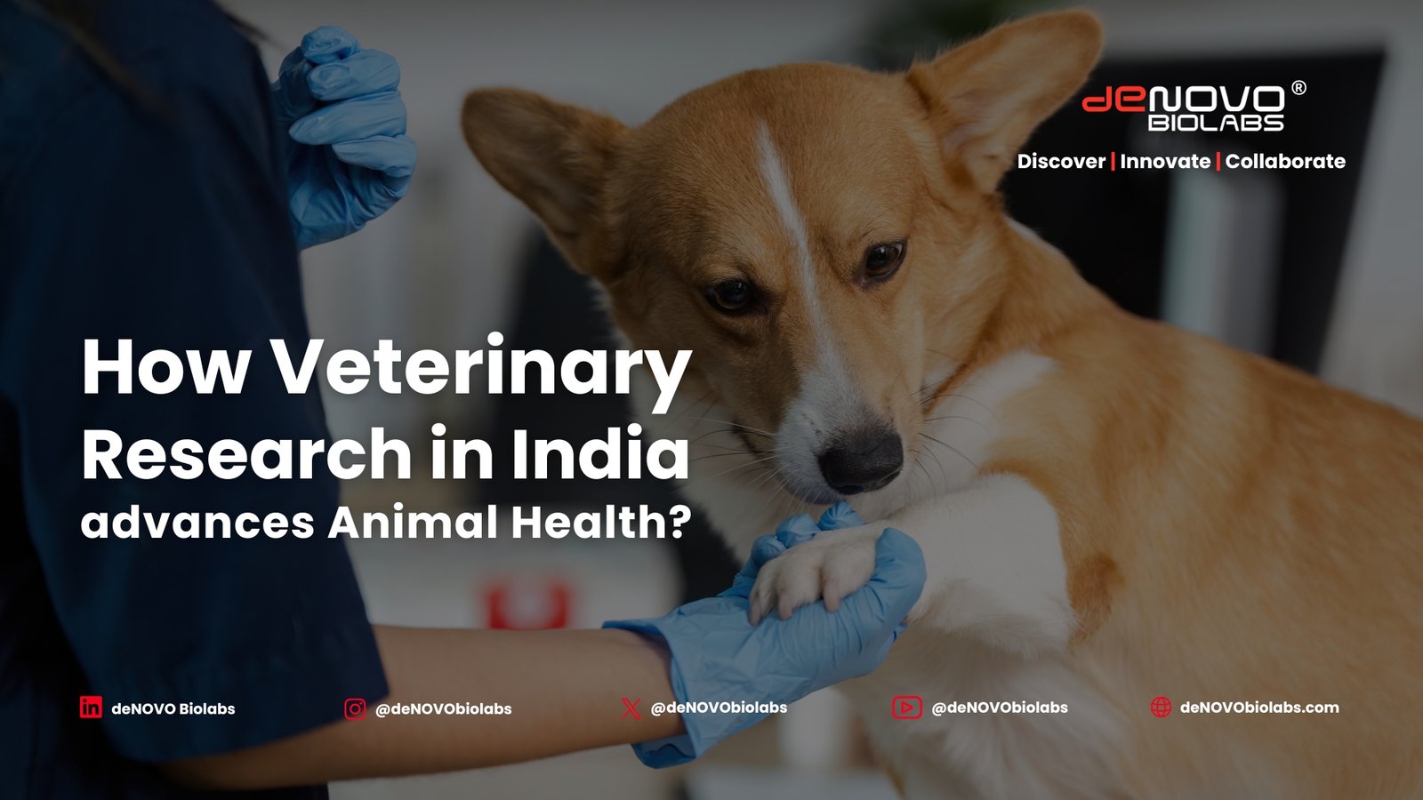 Role of Research & Biotech in India’s Vet Health - deNOVO Biolabs